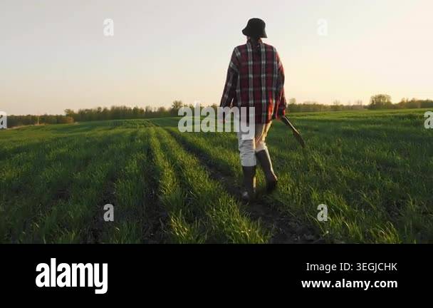 Female farmer walking through green agricultural field carrying shovel ...