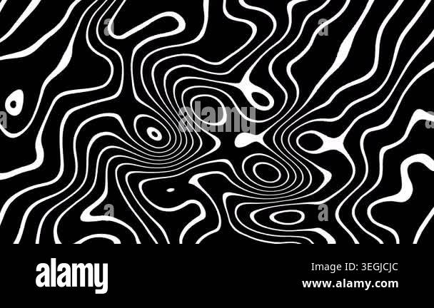 Abstract White Topographic Fluid Line Seamless Loop Animation on Black ...