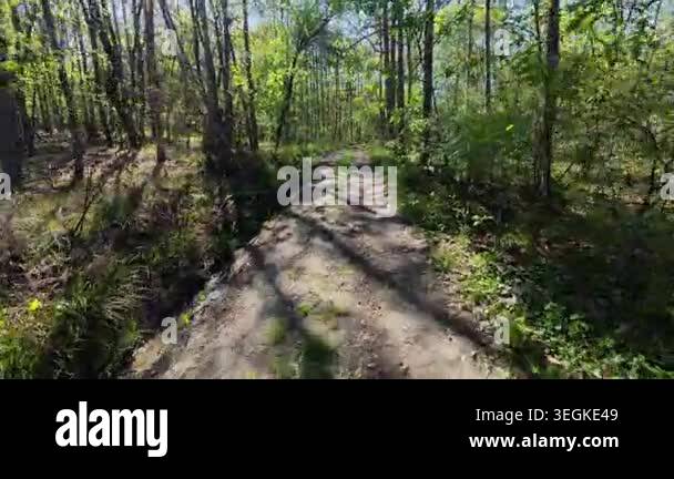A first-person perspective POV or low drone shot moving forward along a ...