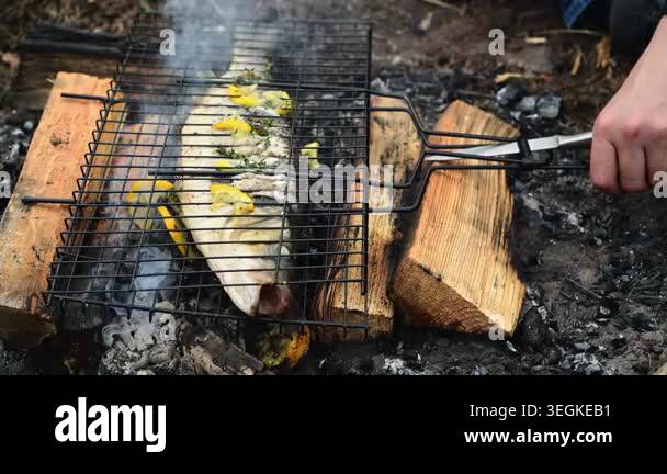 Close up of a hand holding a grill grate with fish over hot campfire ...