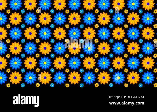 Colorful Floral Pattern Loop with Blue and Yellow Flowers on Black ...