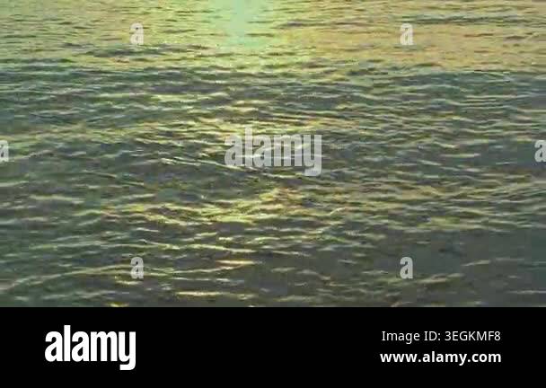 Shimmering water surface with golden sunlight reflections and gentle ...