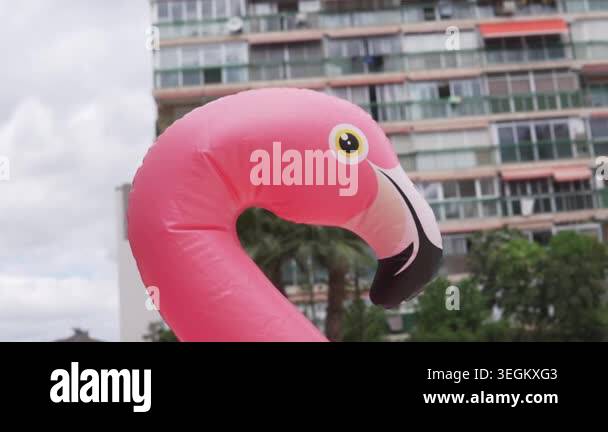 Close-up video of a pink inflatable flamingo head by the swimming pool ...