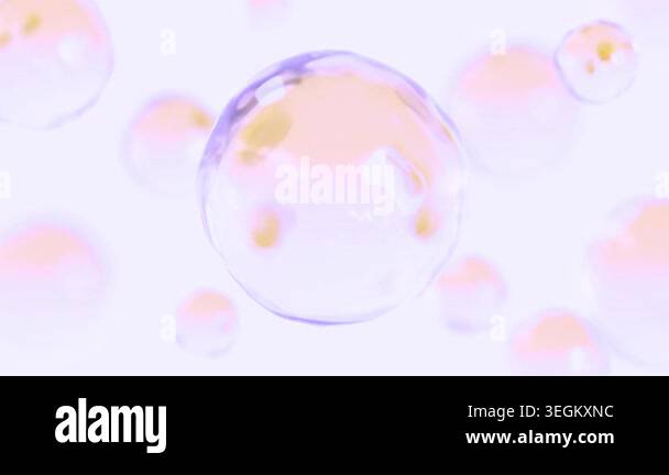 A large transparent bubble with a purple outline and pink and yellow ...