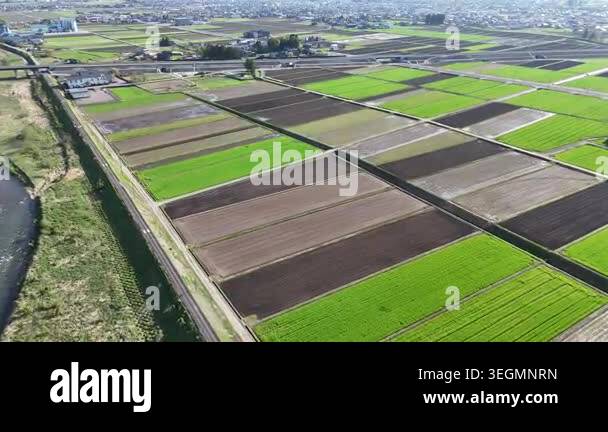 Aerial view of green and brown farmland Stock Video Footage - Alamy