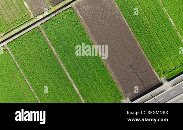 Aerial view of green agricultural fields Stock Video Footage - Alamy