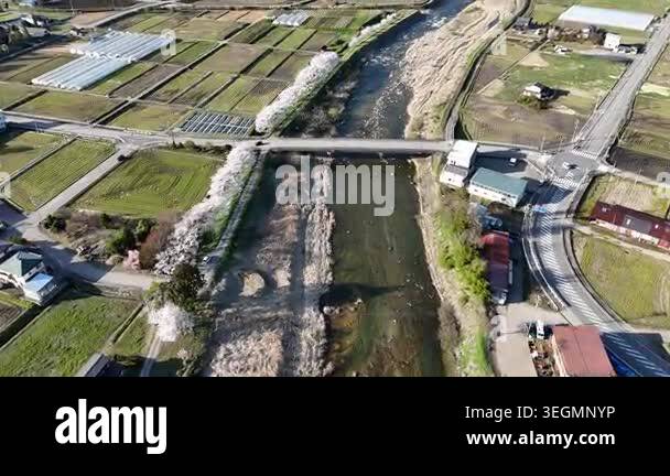 Aerial view of river and cherry blossoms Stock Video Footage - Alamy