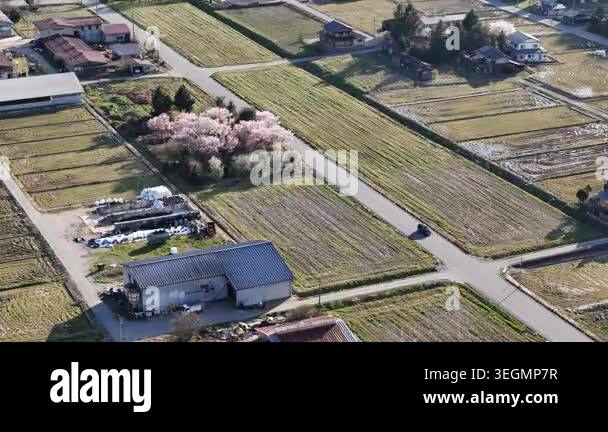 Aerial view of fields and cherry blossoms Stock Video Footage - Alamy