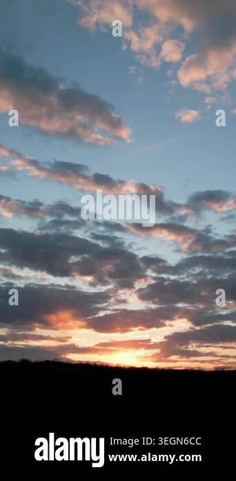 Vertical video. A majestic sun sets over the silhouette of a forest ...