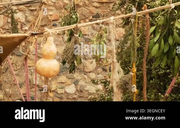Various aromatic herbs hanging from strings to dry Stock Video Footage ...