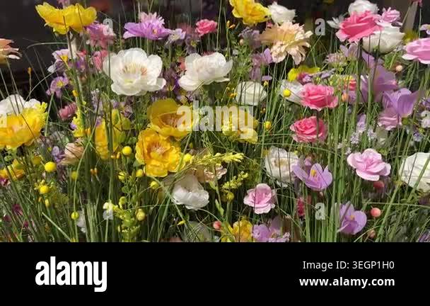 Colorful Spring Flowers Blooming In Lush Garden With Bright Natural ...