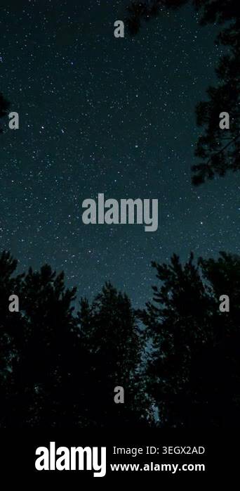 Time lapse of moving stars over a forest in the night sky. Starry night ...