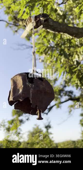 Old rusty metal bell hanging on tree branch swinging in wind in ...