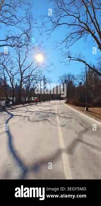 Bright sun over paved road in Central Park New York. Sunny winter day ...