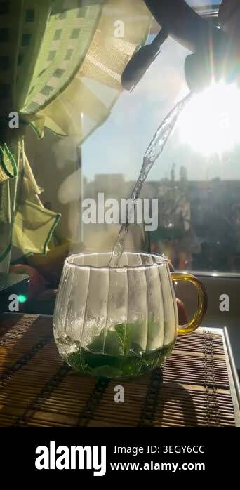 Pouring Boiling Water from Kettle into Glass Cup with Fresh Green Mint ...