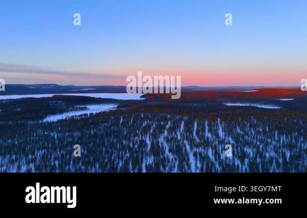 Moving over the vast woodlands covered with snow. Sunset time footage ...