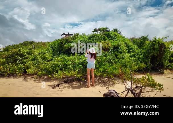 Lady in a hat stands at the bush taking photo. Large brown pelican ...