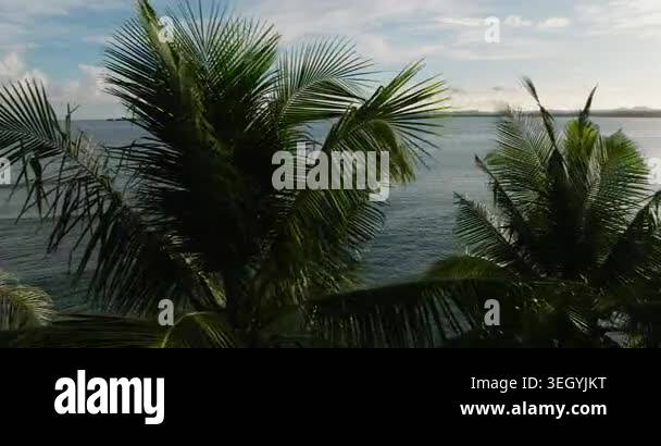 Palm trees framing the view of the ocean during sunset. Cloud 9 Surfing ...
