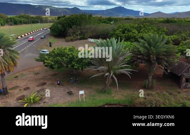 Aerial view of a lush garden with palm trees and mountains in the ...
