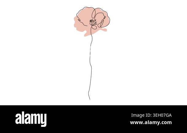 animated continuous line drawing of poppy flower, beautiful red ...