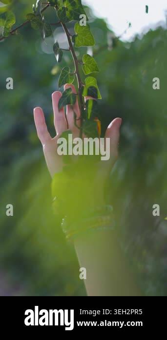 vertical video. A girls hand glides along the branch of a bush with ...