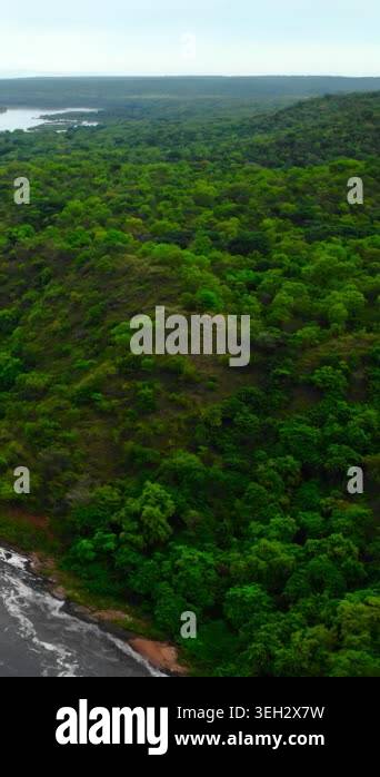 Serene River Channel Winding Through Dense Forest Canopy, Wide Aerial ...