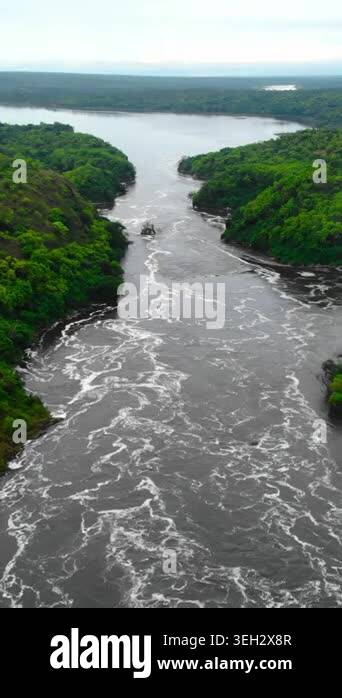 Serene River Channel Winding Through Dense Forest Canopy, Wide Aerial ...