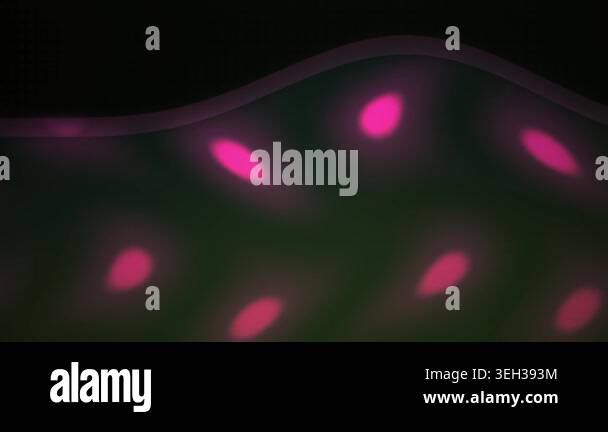 Glowing pink cells under microscope Stock Video Footage - Alamy