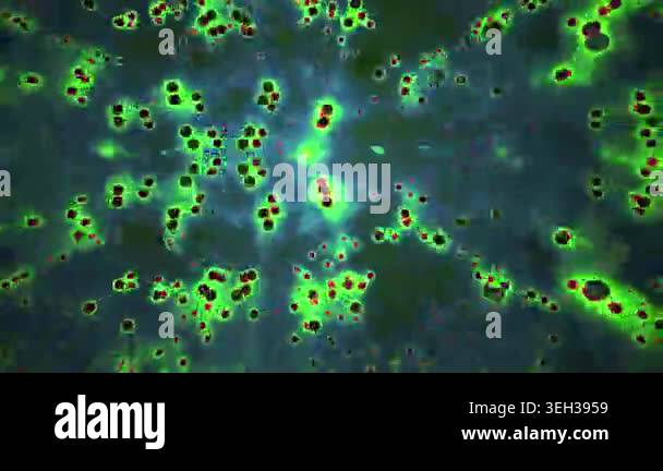 Glowing green cells under microscope Stock Video Footage - Alamy
