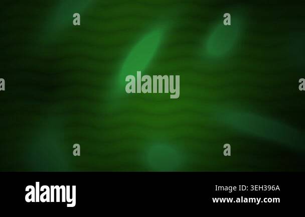 Blurry green cells under microscope Stock Video Footage - Alamy