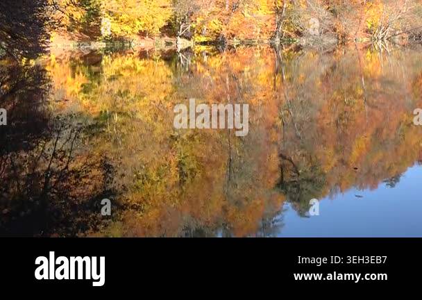 Magnificent autumn lake scene shows calm water reflecting colorful ...