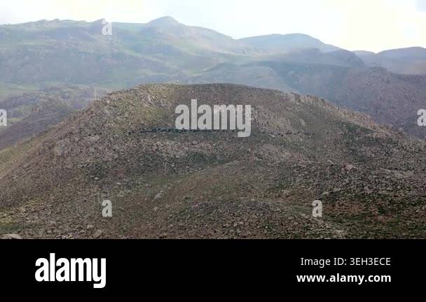 Black goats walking single file across treeless mountain slopes in high ...