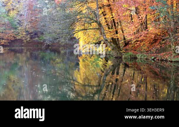 Magnificent autumn lake scene shows calm water reflecting colorful ...