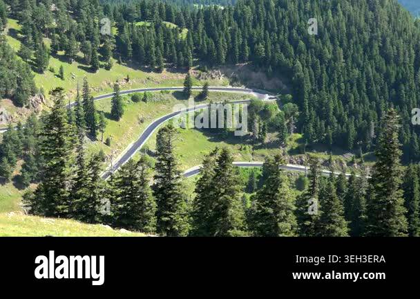 Winding alpine road curves through dense green forested mountains in ...
