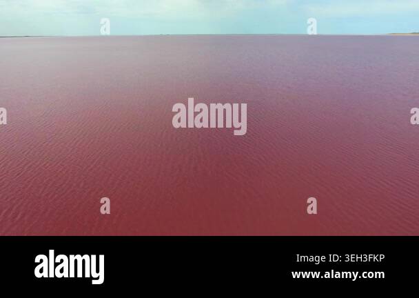 Aerial drone view of pink lake water with unusual red tones across ...