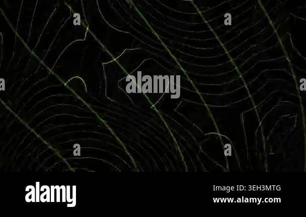 Topographic lines on black background Stock Video Footage - Alamy