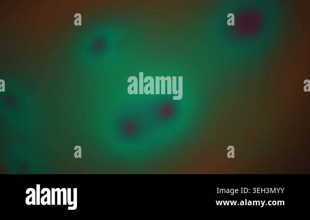 Green cells under microscope examination Stock Video Footage - Alamy
