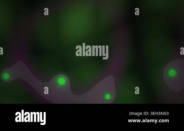 Green fluorescent cells under microscope Stock Video Footage - Alamy