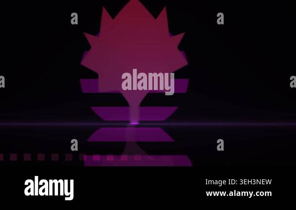 A purple maple leaf on a black background with a reflective surface ...