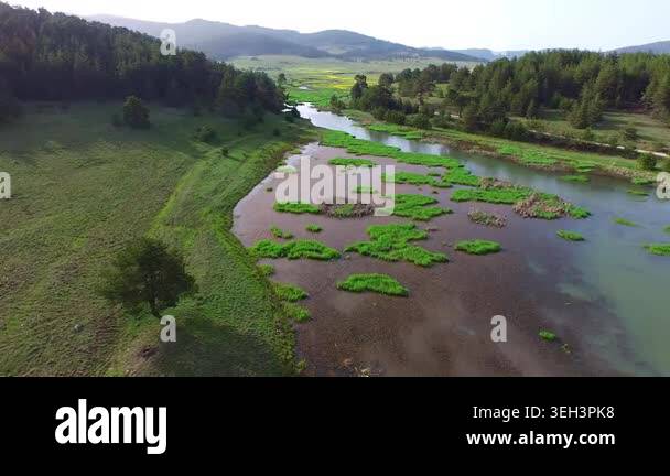 Aerial view shows a natural wetland with reeds and shallow water near ...