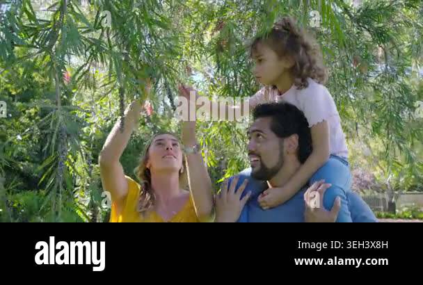 Family spotting tree blossom, plucking and handing it to child while ...