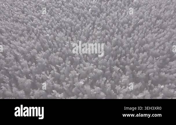 Crystal hoarfrost rime layer accumulated on a cold winter surface ...