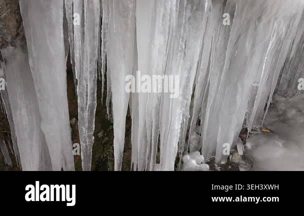 Many crowded icicles cover a natural frozen waterfall in cold air in ...
