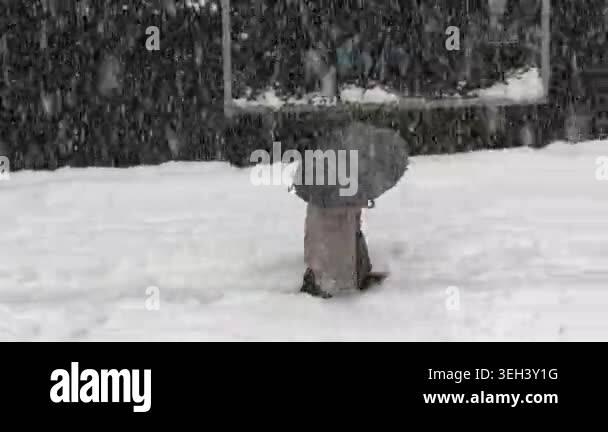 Person walking under umbrella along sidewalk beside wall in heavy ...