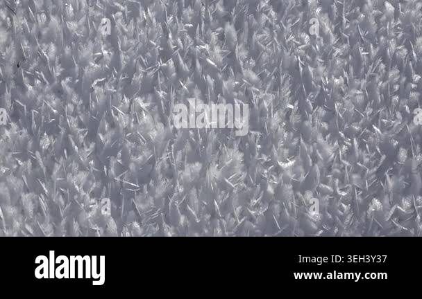 Crystal hoarfrost rime layer accumulated on a cold winter surface ...