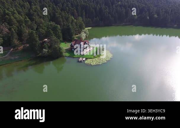 Aerial drone view of a serene forest cabin by a lakeside in natural ...