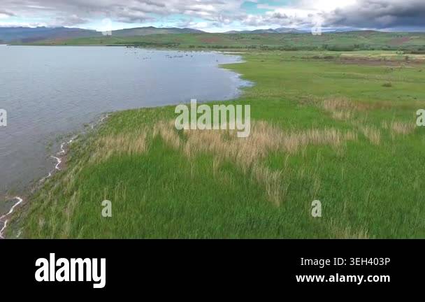 Aerial wetlands beside lake margin aquatic plants shallow channels ...