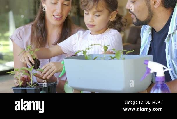 Diverse family teaching child as mom removing seedling from tray ...