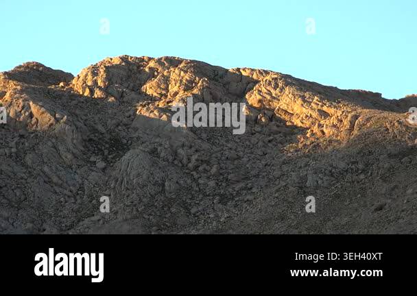 Natural landscape shows clear subject detail with grounded composition ...