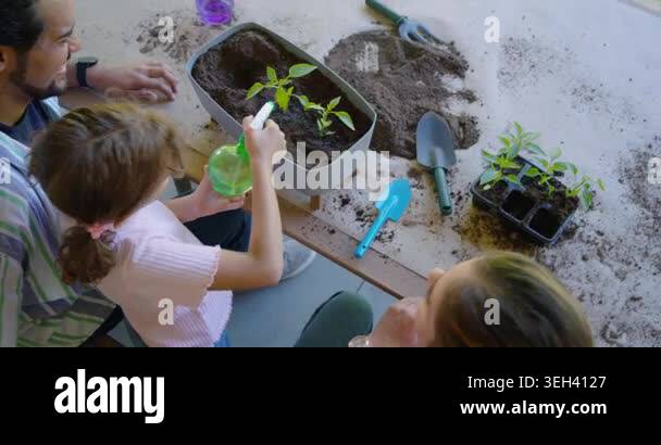 Family girl watering seedlings after mother handing sprayer, planting ...